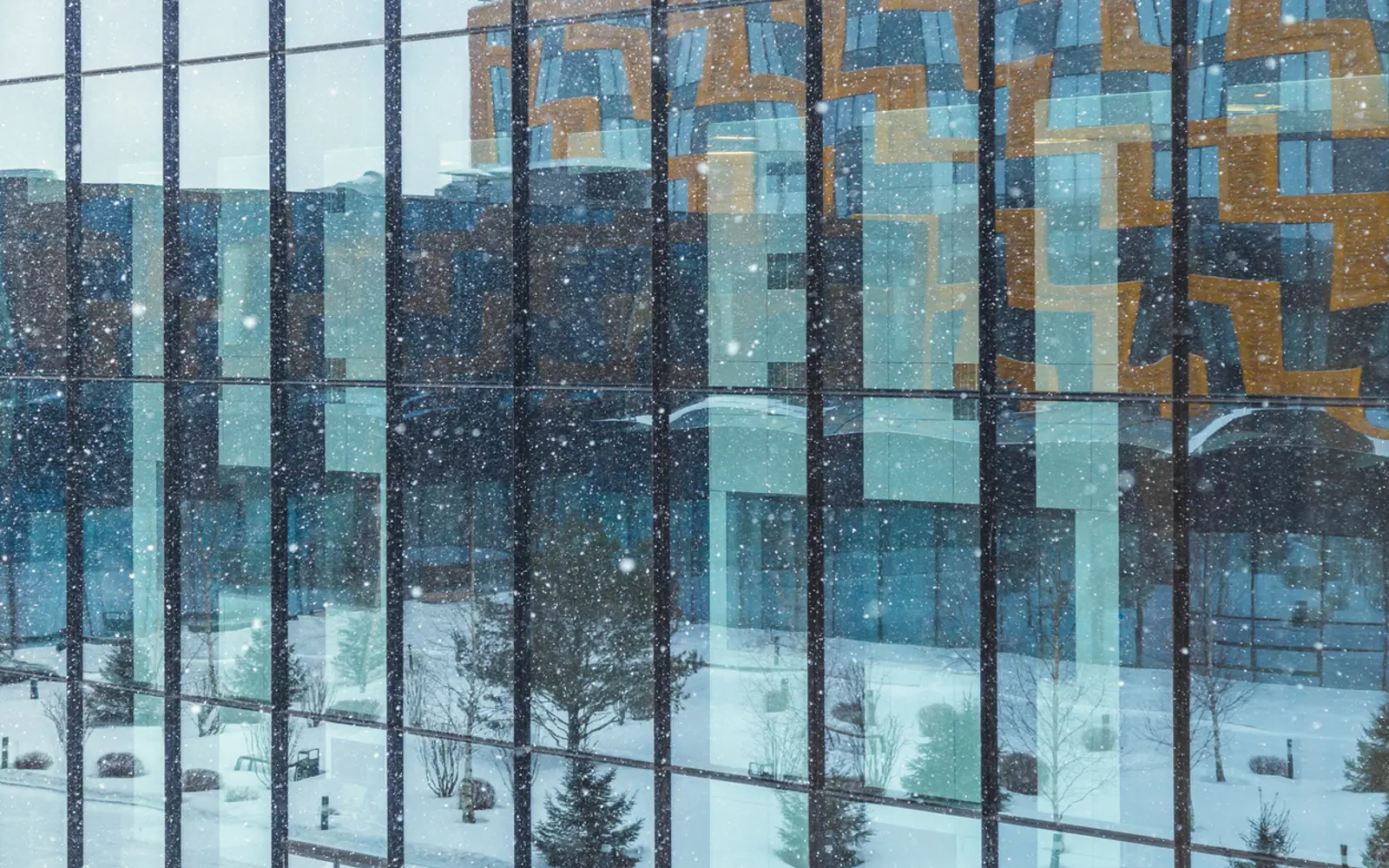 Why Seasonal Temperature Changes Affect Glass Façade Performance More ...